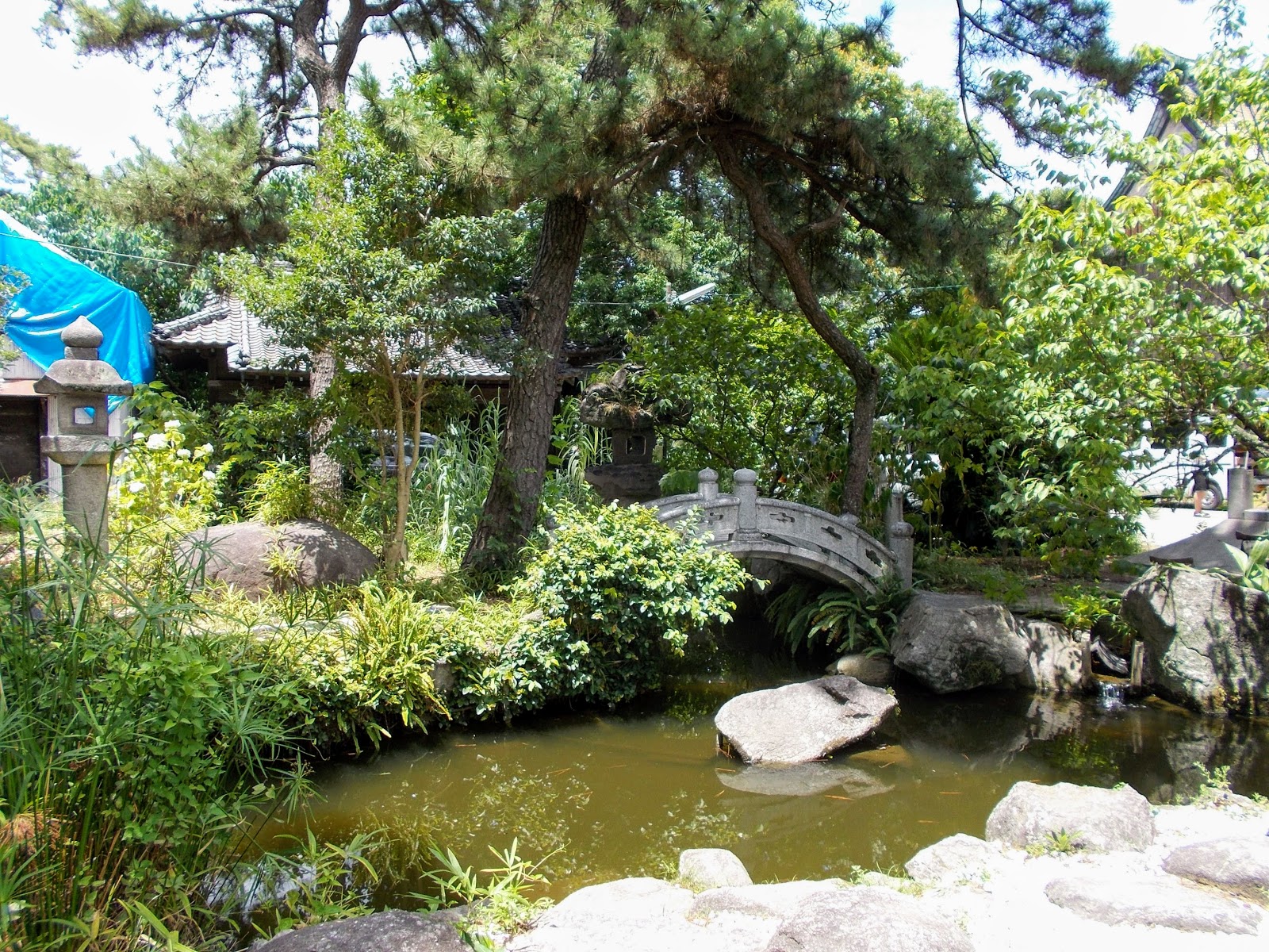 KS's Blog: A day trip to Torikai Hachimangu Shrine, Fukuoka