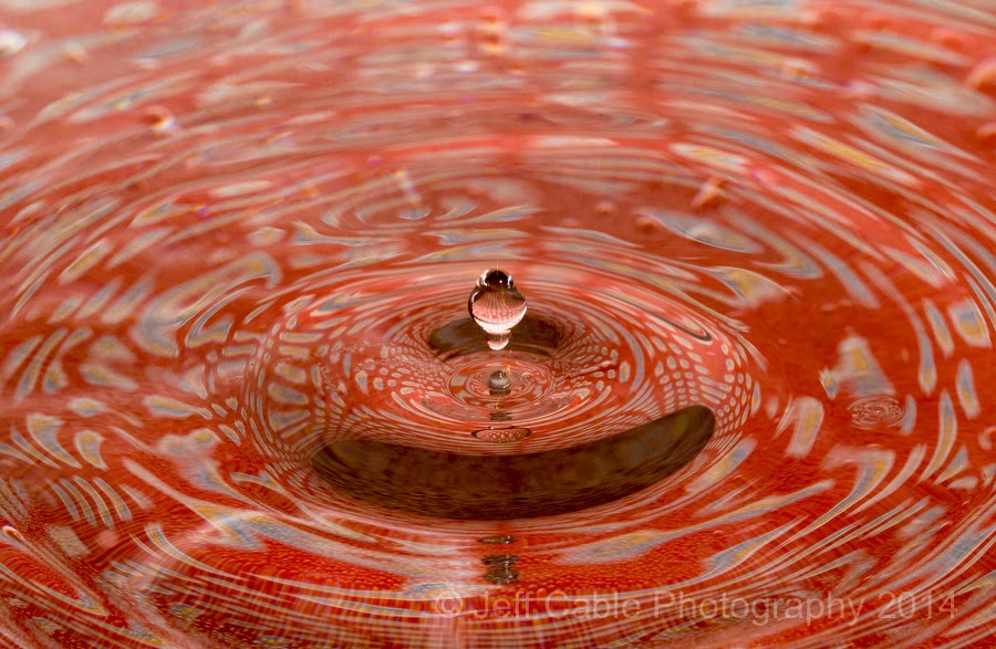 Jeff Cable's Blog: Photographing water drops: This is really fun, and ...