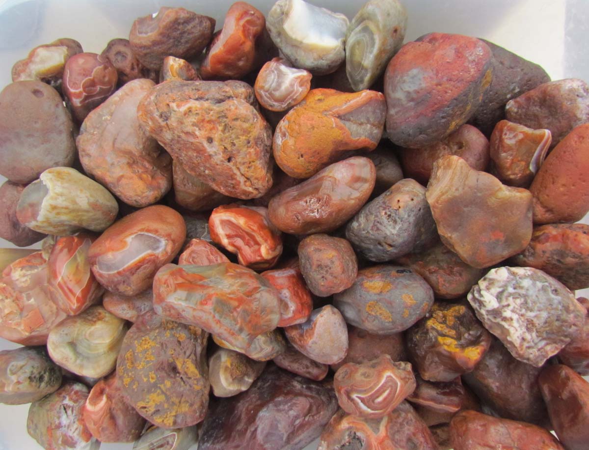 The Agatelady: Adventures and Events: Moose Lake Agate Days -- Post 1