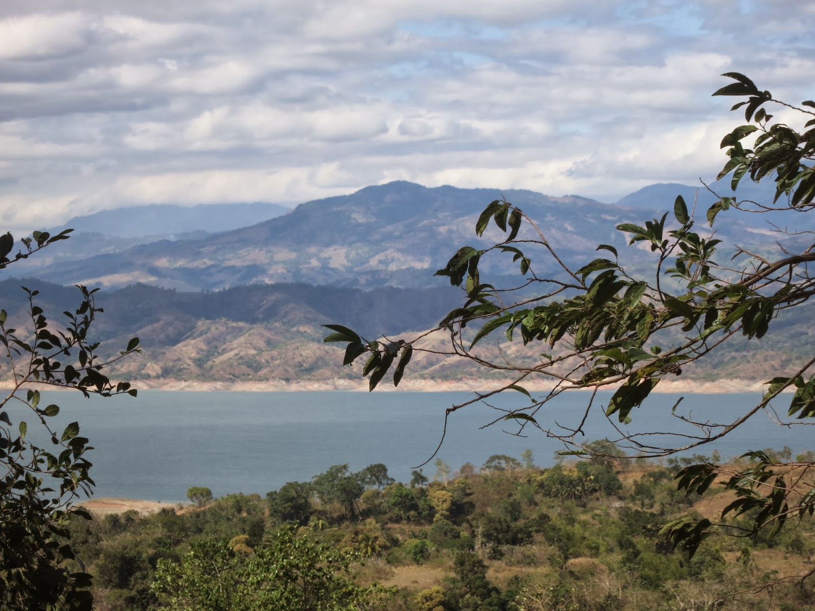Splash of Yellow: What to see in Baler