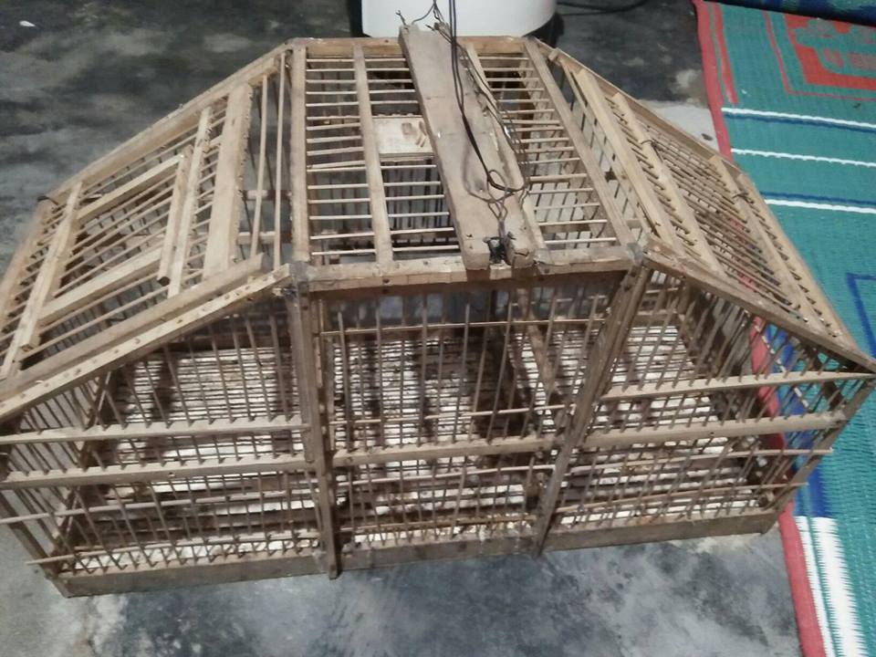 6 Contoh Model Sangkar Pikat Terbaru | TUTORIAL DAN BELAJAR