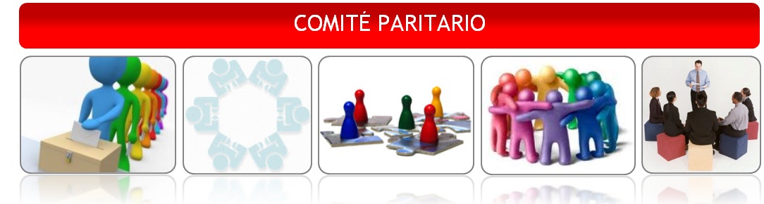 Dany Prevenciòn: Comitè Paritario de Higiene y Seguridad