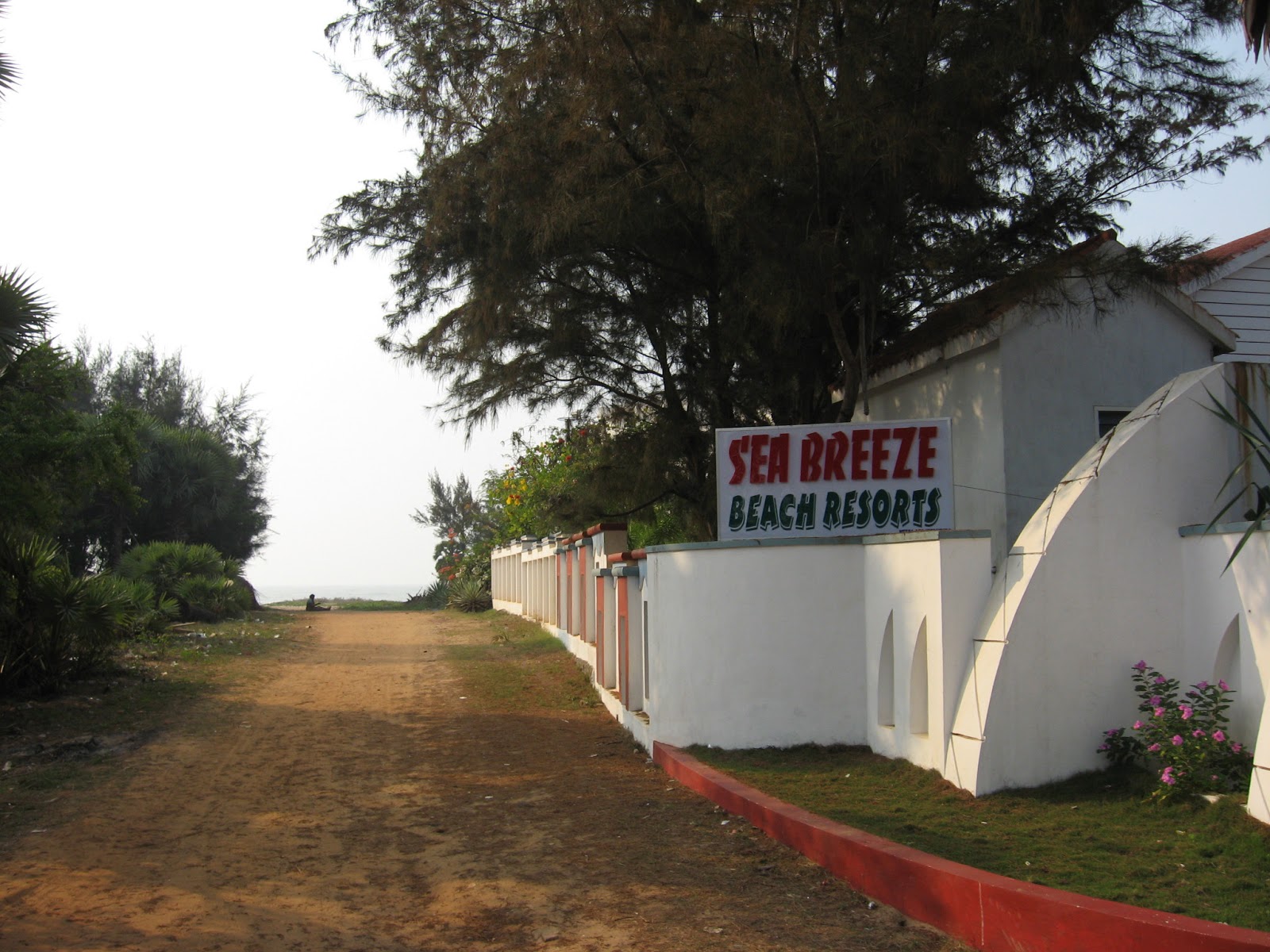 Chirala - JungleKey.in Image