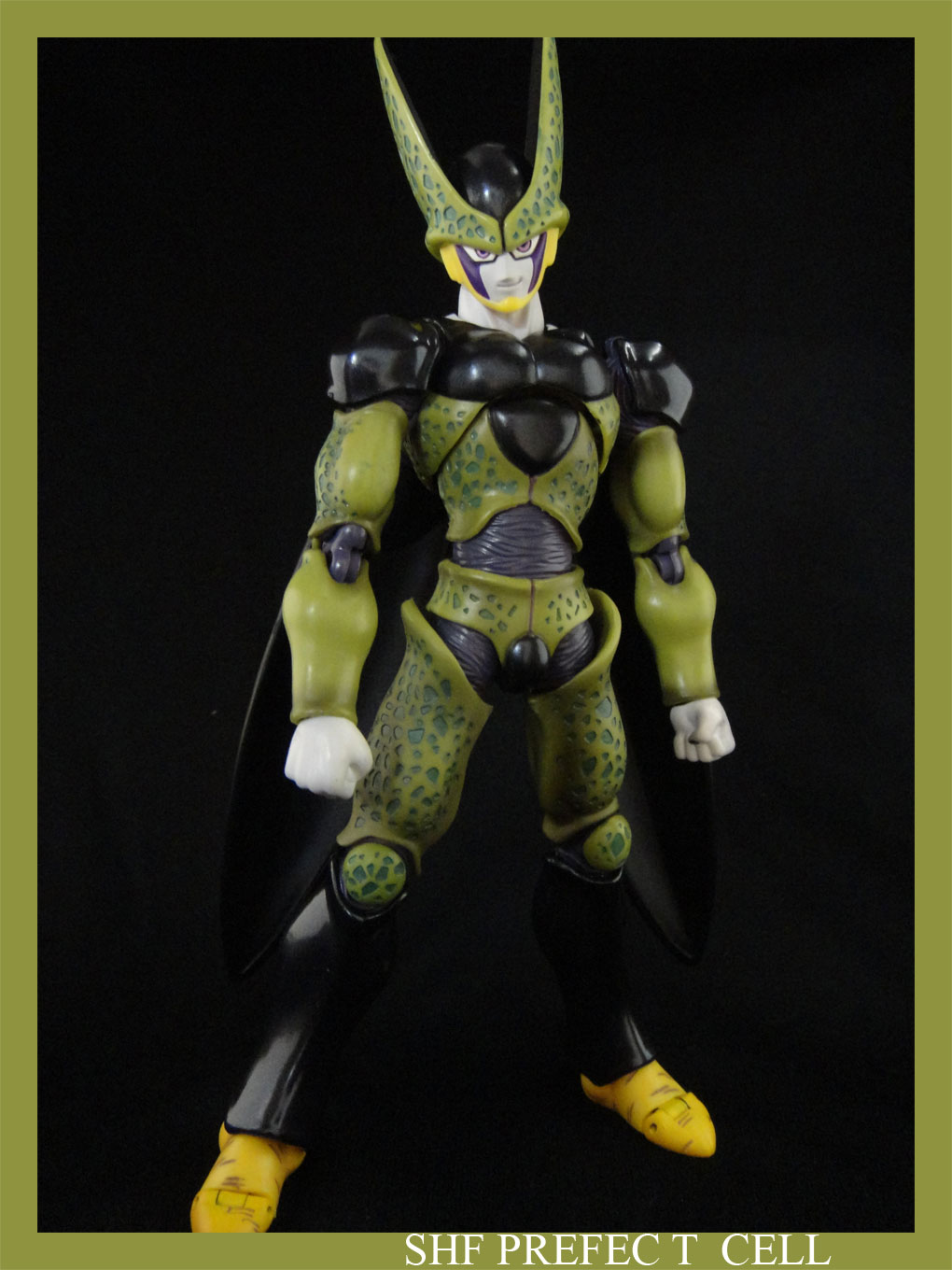 HS HOBBY: S.H.F Prefect Cell