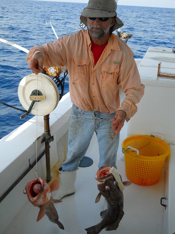 Stay In Touch With Collier County's Sea Grant Extension Program ...