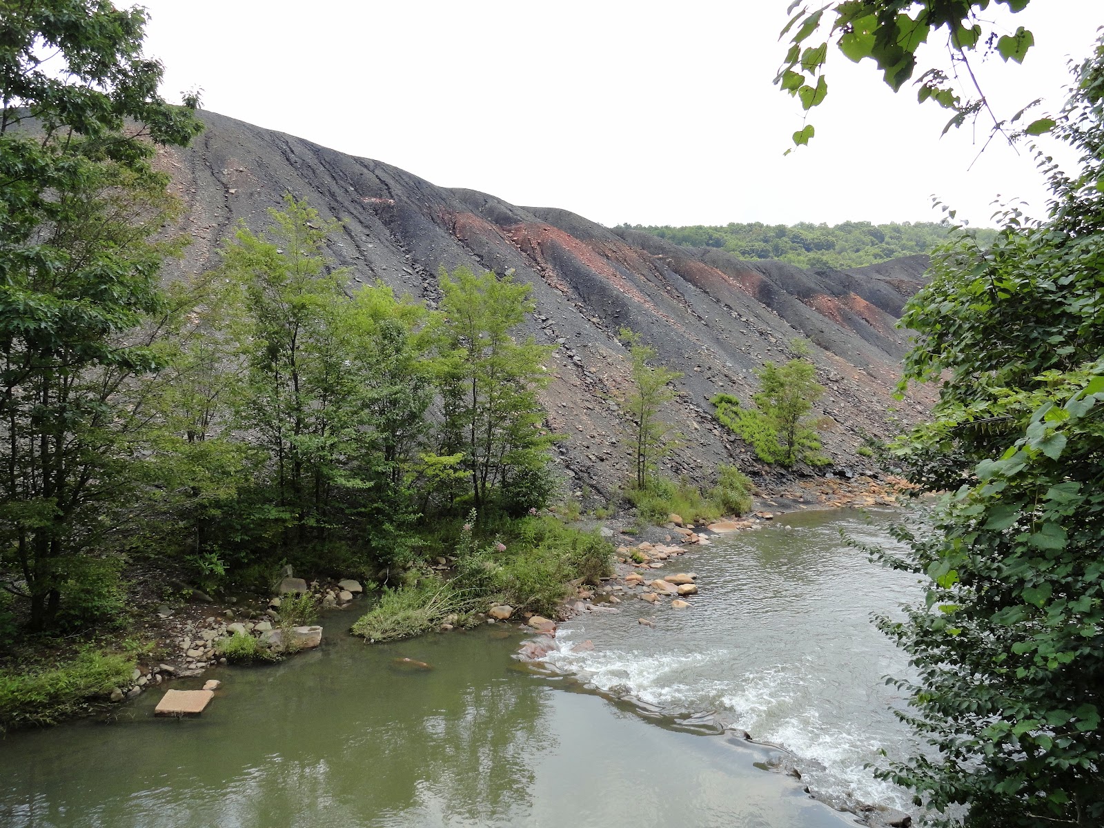 Mellissa Rose: Vintondale, PA - walk through the woods