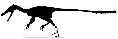 pan-Aves: dubna 2011