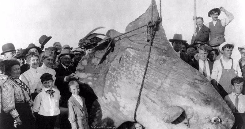 45 Cool Pictures That Show People Posing With Their Big Fishes in the ...