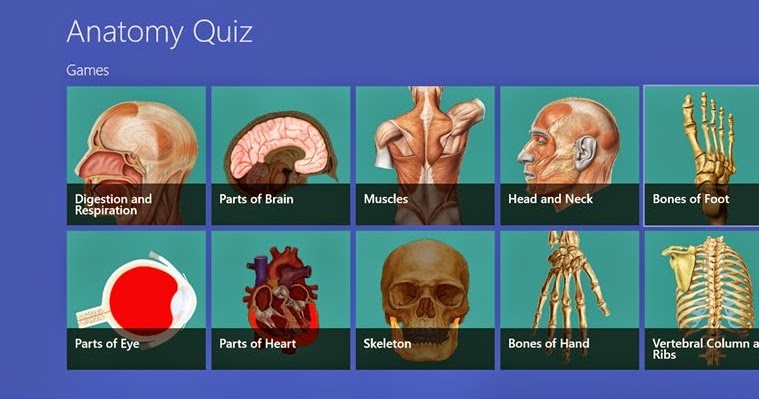 MCQ. Anatomy ~ Nursing Path