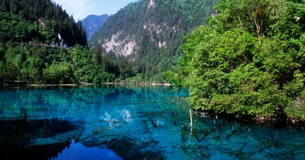 Pakistan Natural Beautiful: Ziarat Natural Beautiful Place in Pakistan