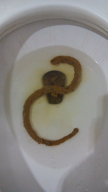 gakbrenti: long shit