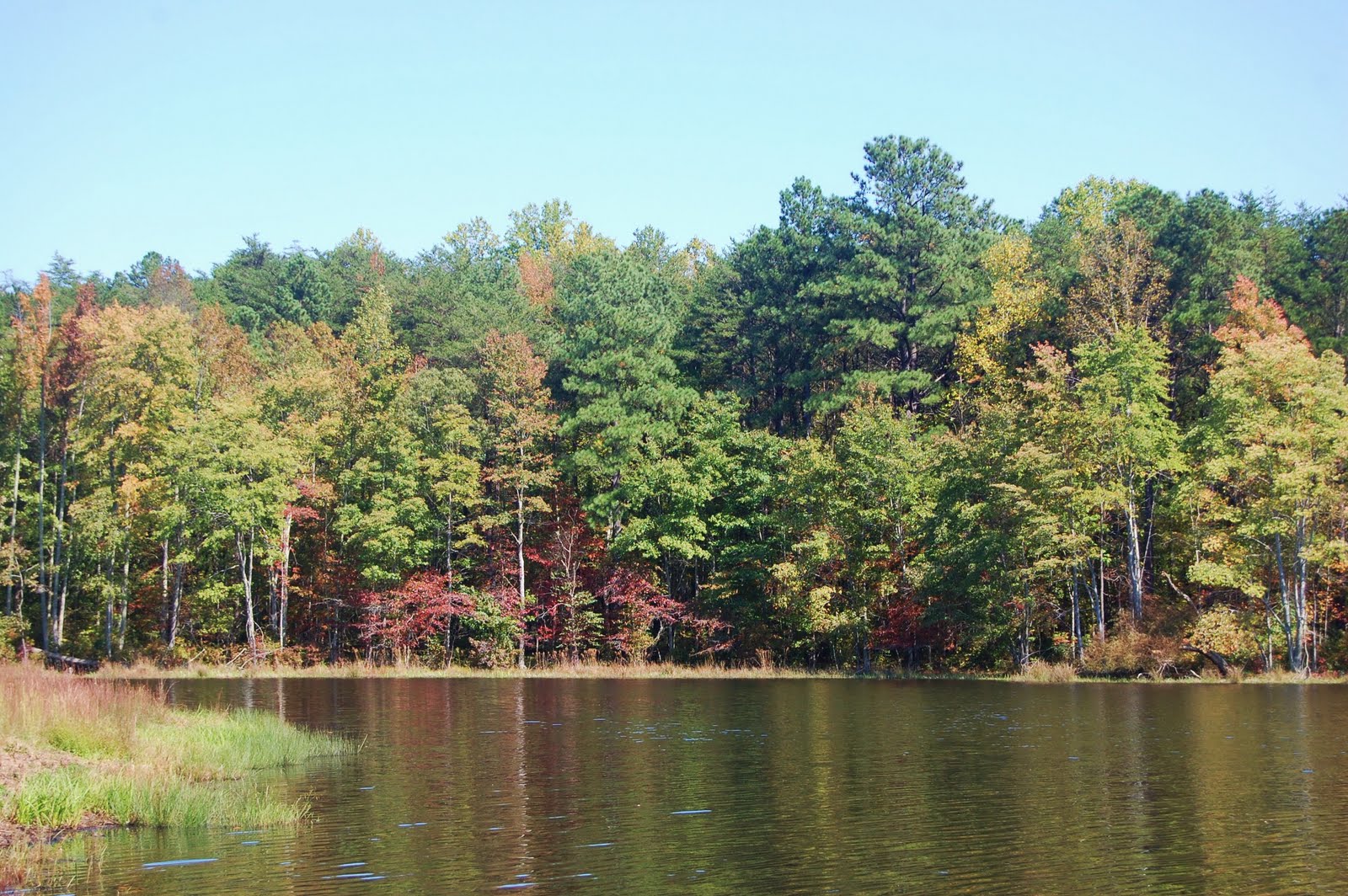 Bong in Virginia: LUNGA PARK IN MARINE BASE QUANTICO, VIRGINIA