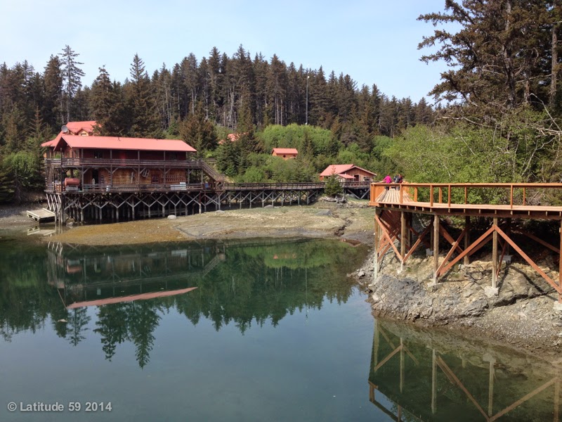 Adventure - Tutka Bay Cooking Class | Guide for Alaska's Disappearing ...