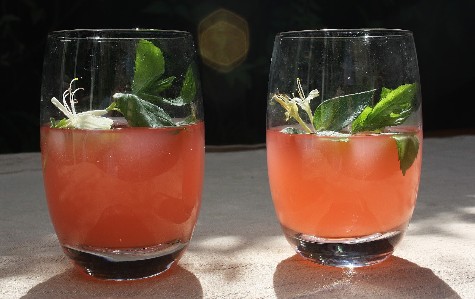 wanton flavours: SUMMER FRUIT KVASS - SIMPLE FERMENTED FRUIT DRINK