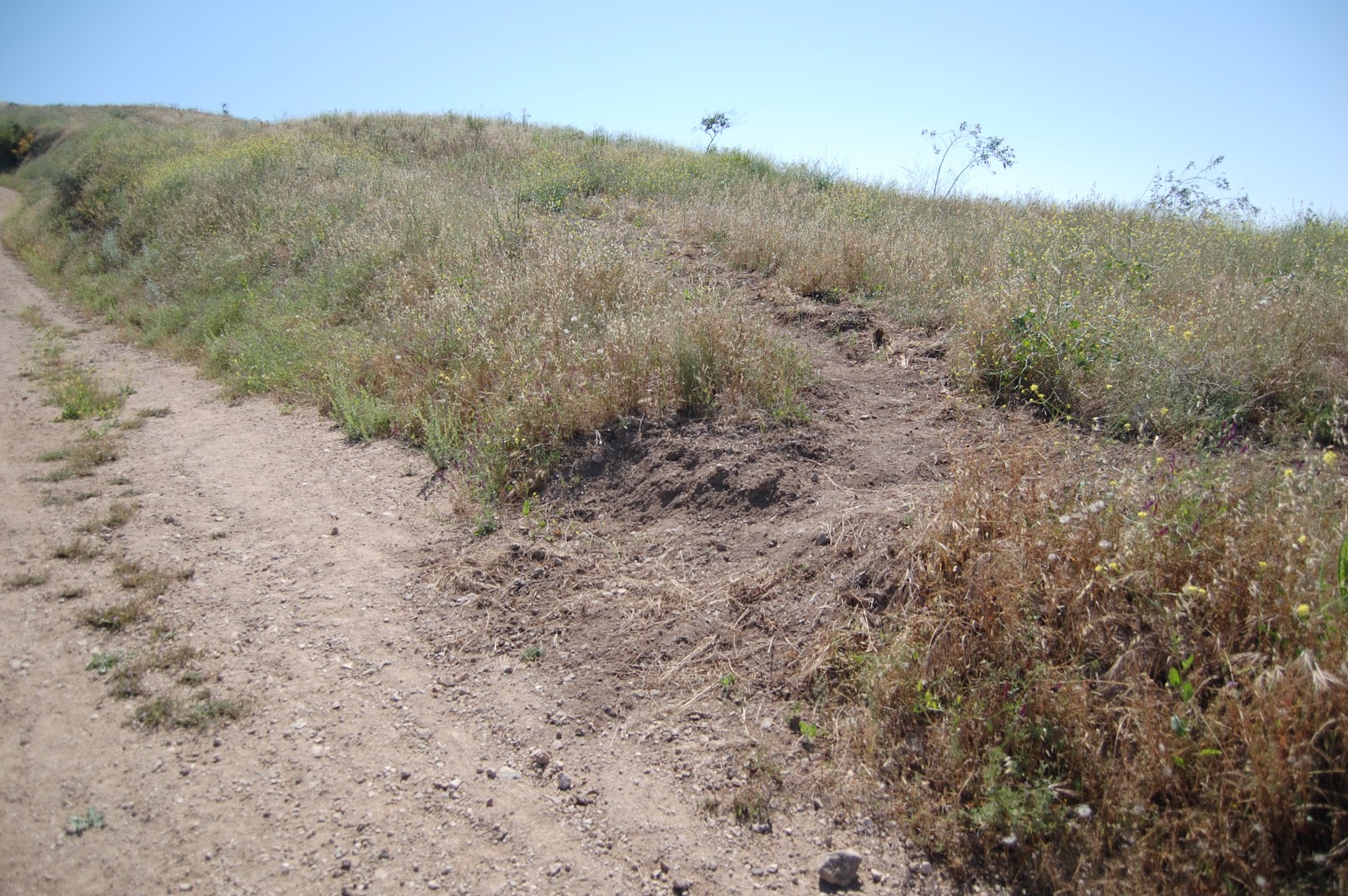 Hiking Azusa Peak/Glendale Peak | East West Hike