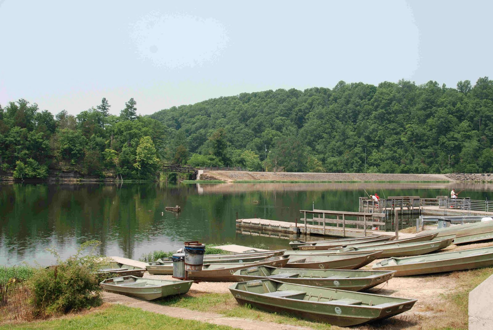 Old field Studio & Leo Lakes: Marrowbone Monster