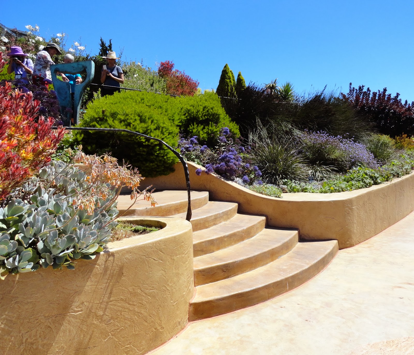 danger garden: The Wave Garden, San Francisco Garden Bloggers Fling