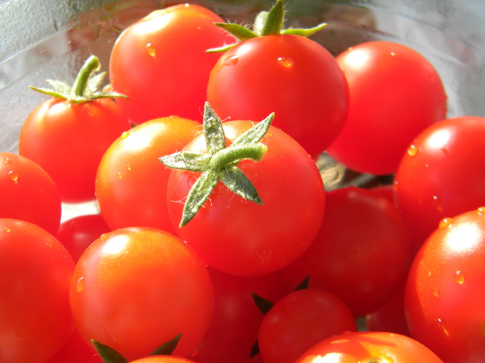 Gradina de pe balcon