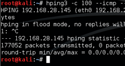 Computer Security Learning : DoS with Hping3