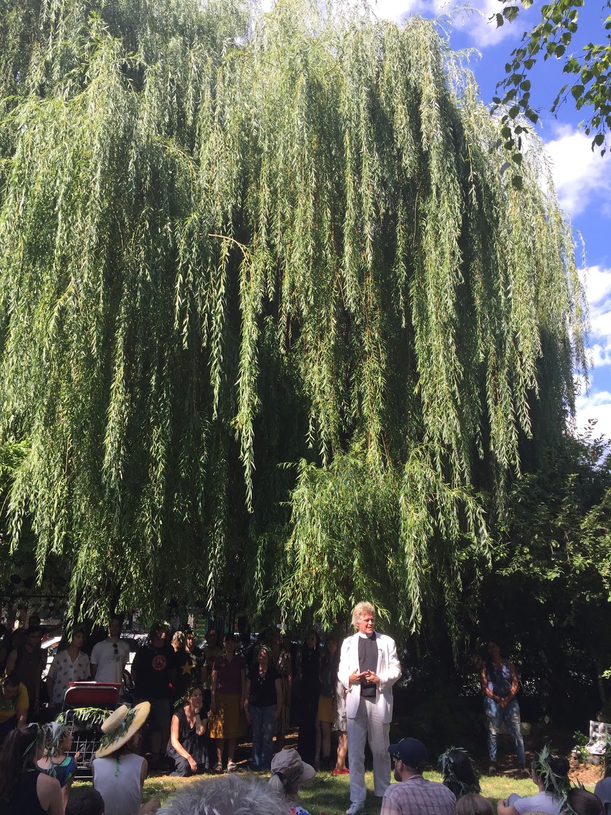 EV Grieve: La Plaza's grand willow tree comes down tomorrow