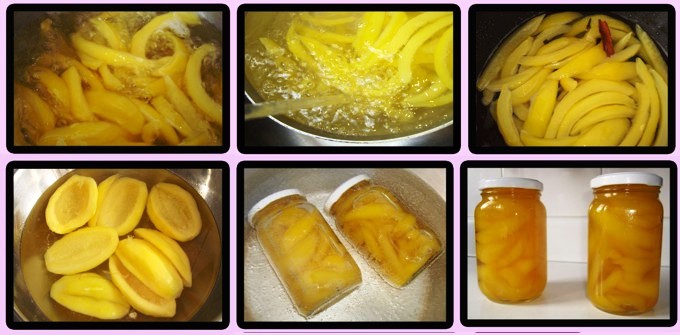 DIEGO MUÑOZ: CANCER GASTRICO