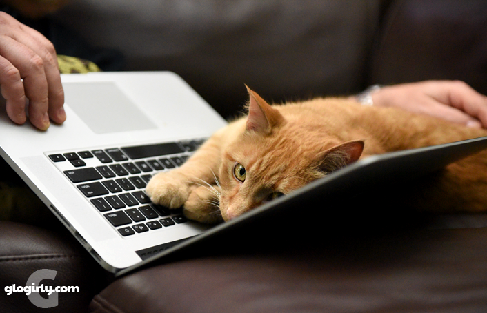 GLOGIRLY: Waffles On The Computer