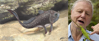 Palaeos, la historia de la Vida en la Tierra: mayo 2013