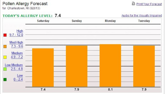 Progressive Charlestown: Nice weather means higher pollen count