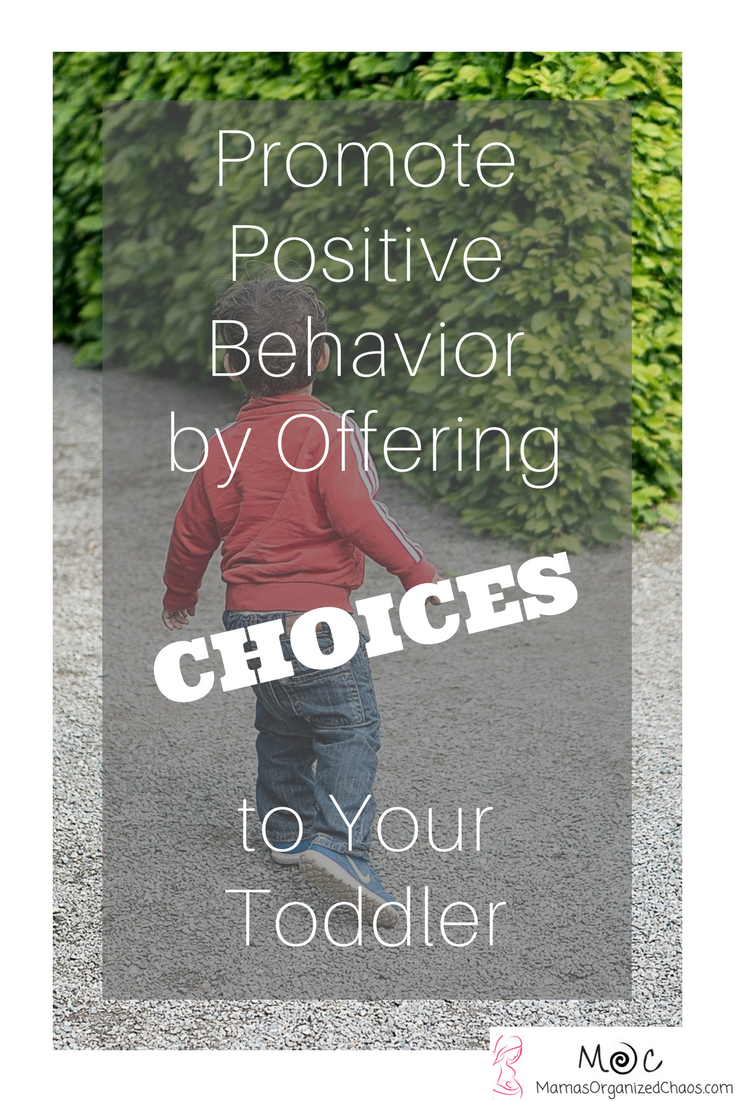 Promoting Positive Behavior by Offering Choices to Your Toddler - Mama ...