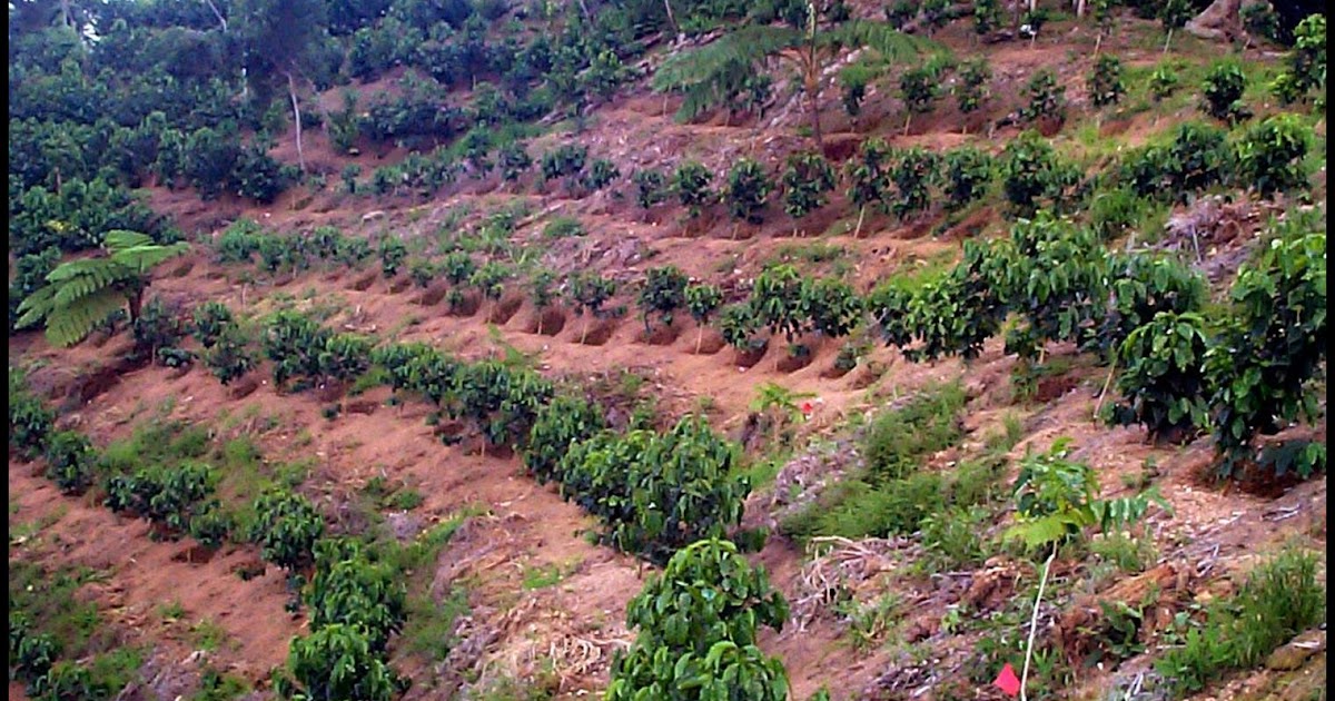 Surcado al Contorno - INFORMACIONES AGRONOMICAS