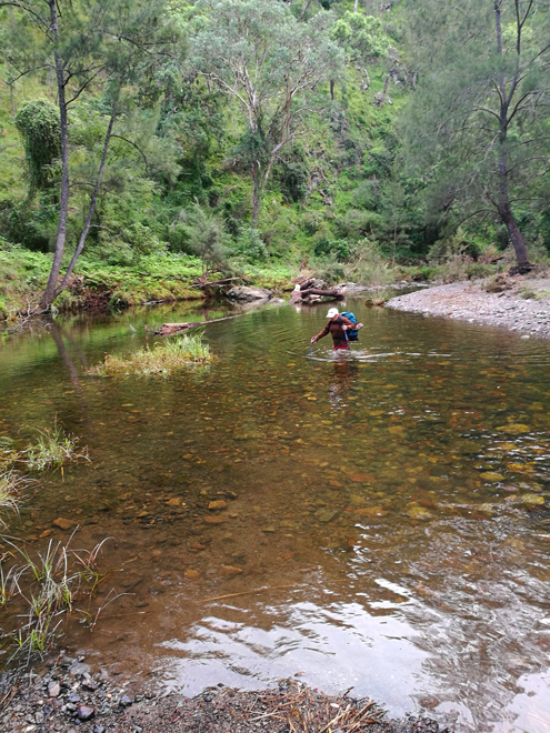 Back Country Roads: The Green Gully Track - 4 day hike.