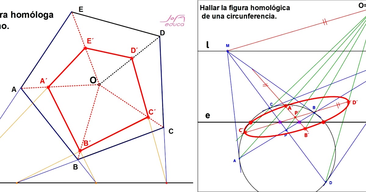 DIBUJO TÉCNICO : La HOMOLOGÍA