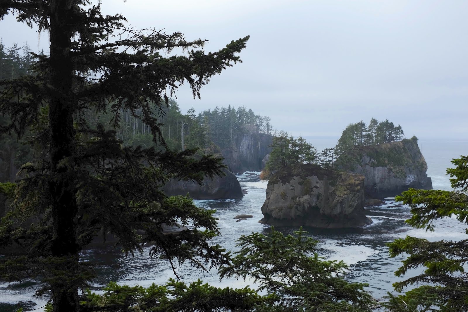 Olympic National Forest - Seattle, WA