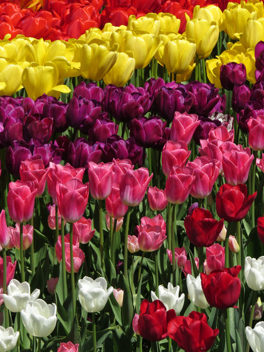 Contemplative Photography: Variety is the spice...