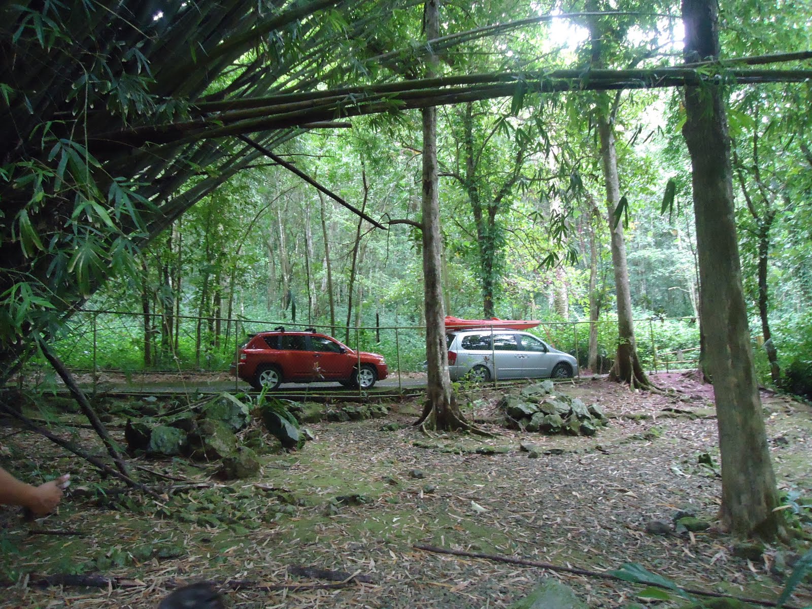 La Vuelta a Puerto Rico en la Silver Van…: Caminando por el Bosque Río ...