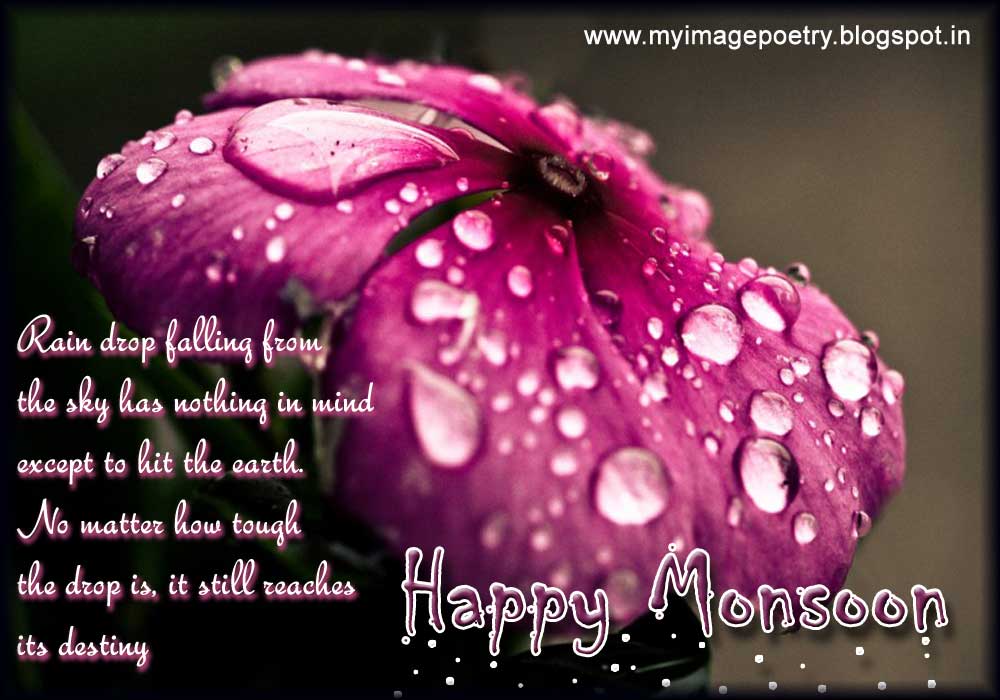 Image Poetry: Happy Monsoon Images