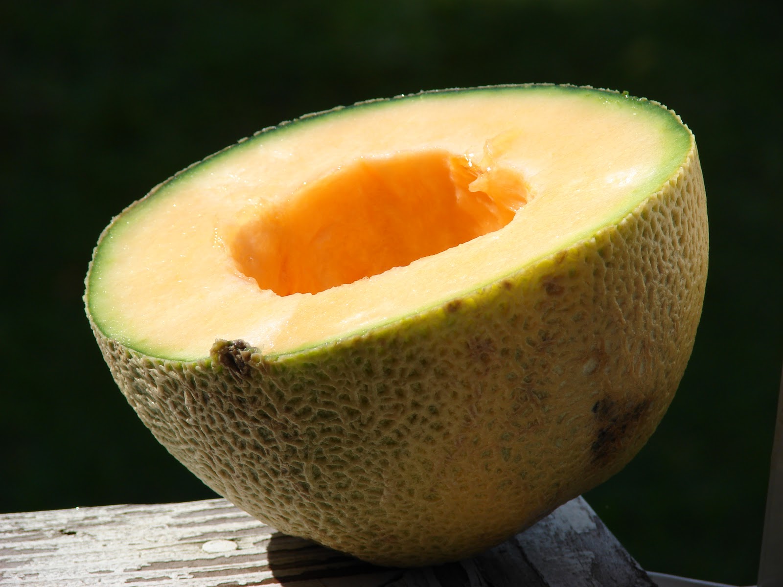 Melón & Melames: KIT Y CÓDIGOS DE DISEÑO SEGÚN EL MELÓN Y EL MELAMES