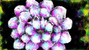 BUNGA-BUNGA SYURGA TUMBUH SUBUR DI MUKA BUMI INI | Sasteraku Duniaku