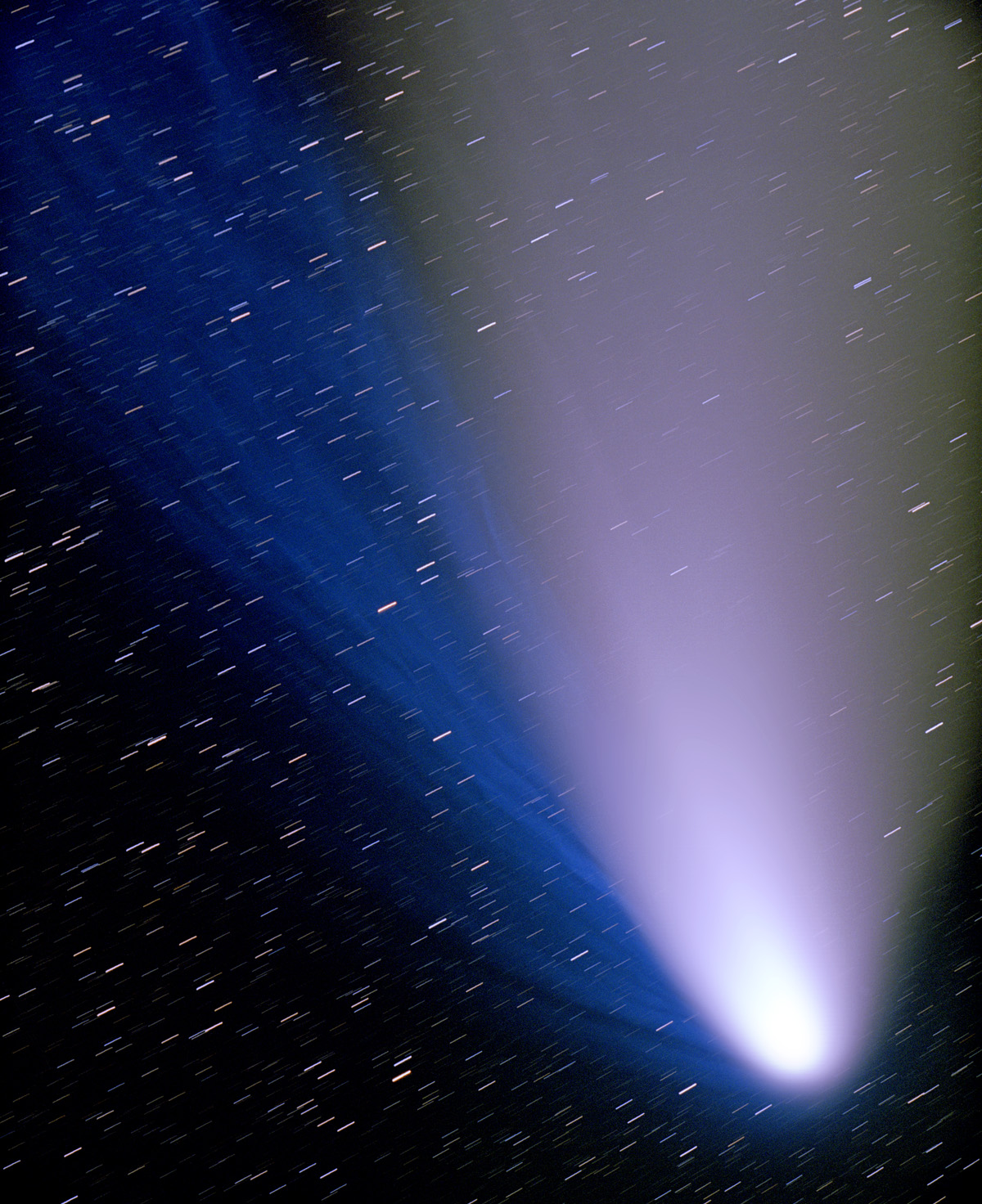 reny_djawoel's_yner Blog: Kometes si komet...