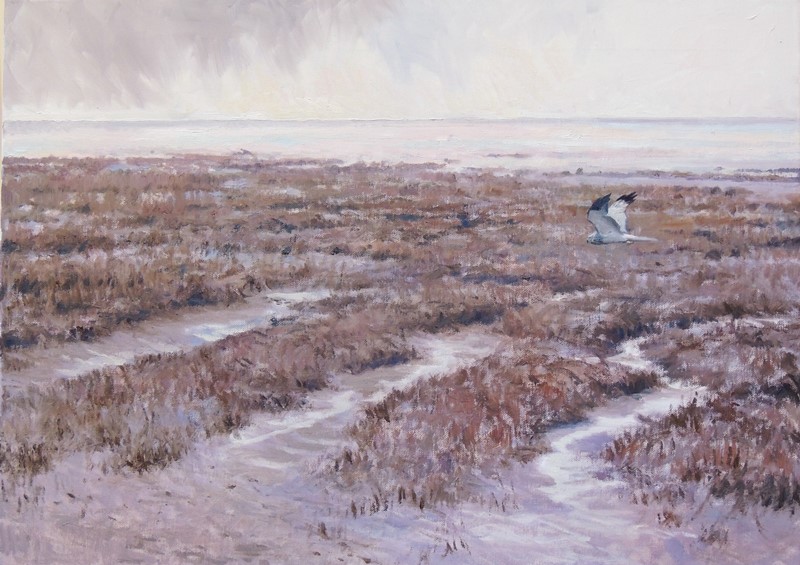 Tim Wootton Wildlife Art