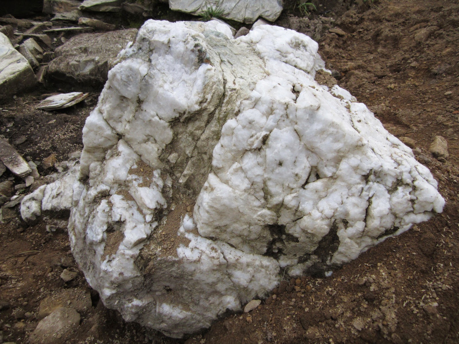 Stonehenge and the Ice Age: Rhyolite inclusion in a quartz block