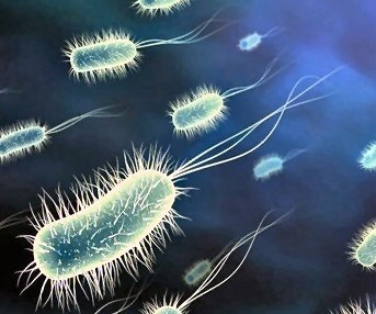 Superbug Bacteria Infection - An Artificial Disease