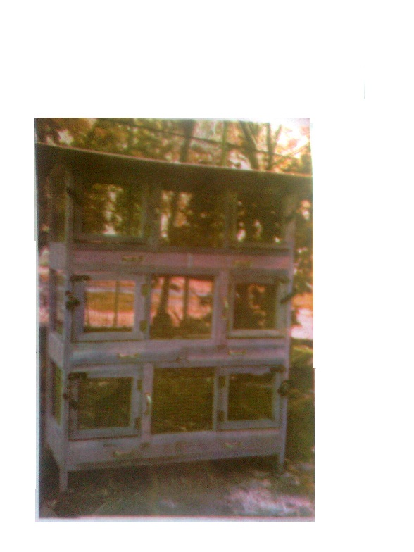 HOW TO BREED A GRASS CUTTER