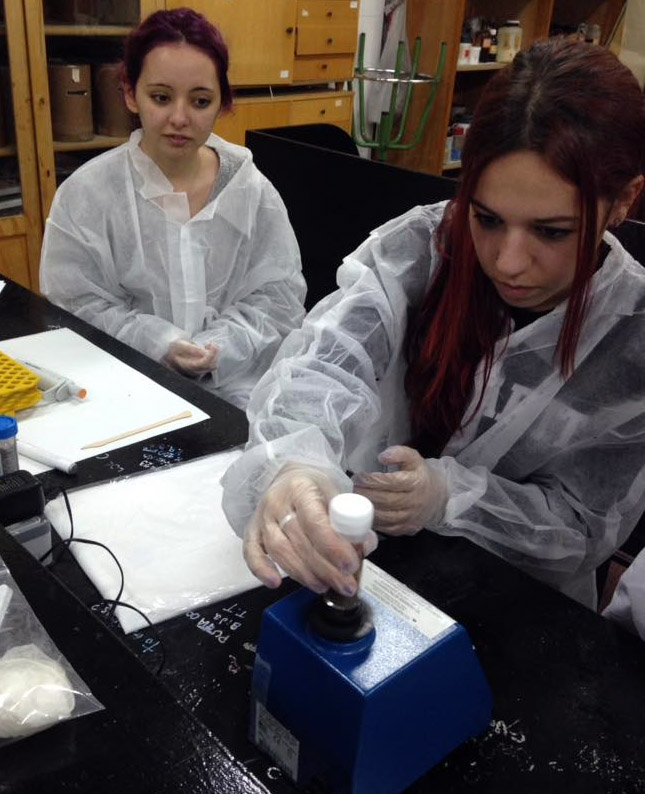 MicroMundo@UCM: 2017