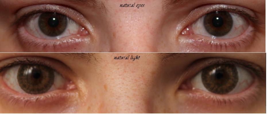 SOÑANDO EN TECNICOLOR: GEO TRI COLOR BROWN