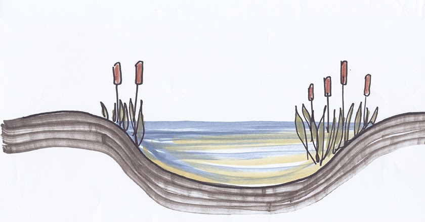 Camosun Blog : Formation of the bog on Camosunbog.ca