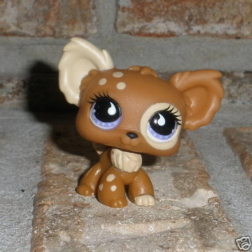 Littlest Pet Shop Club: Littlest Pet Shop Littlest #731 - Chihuahua Dog