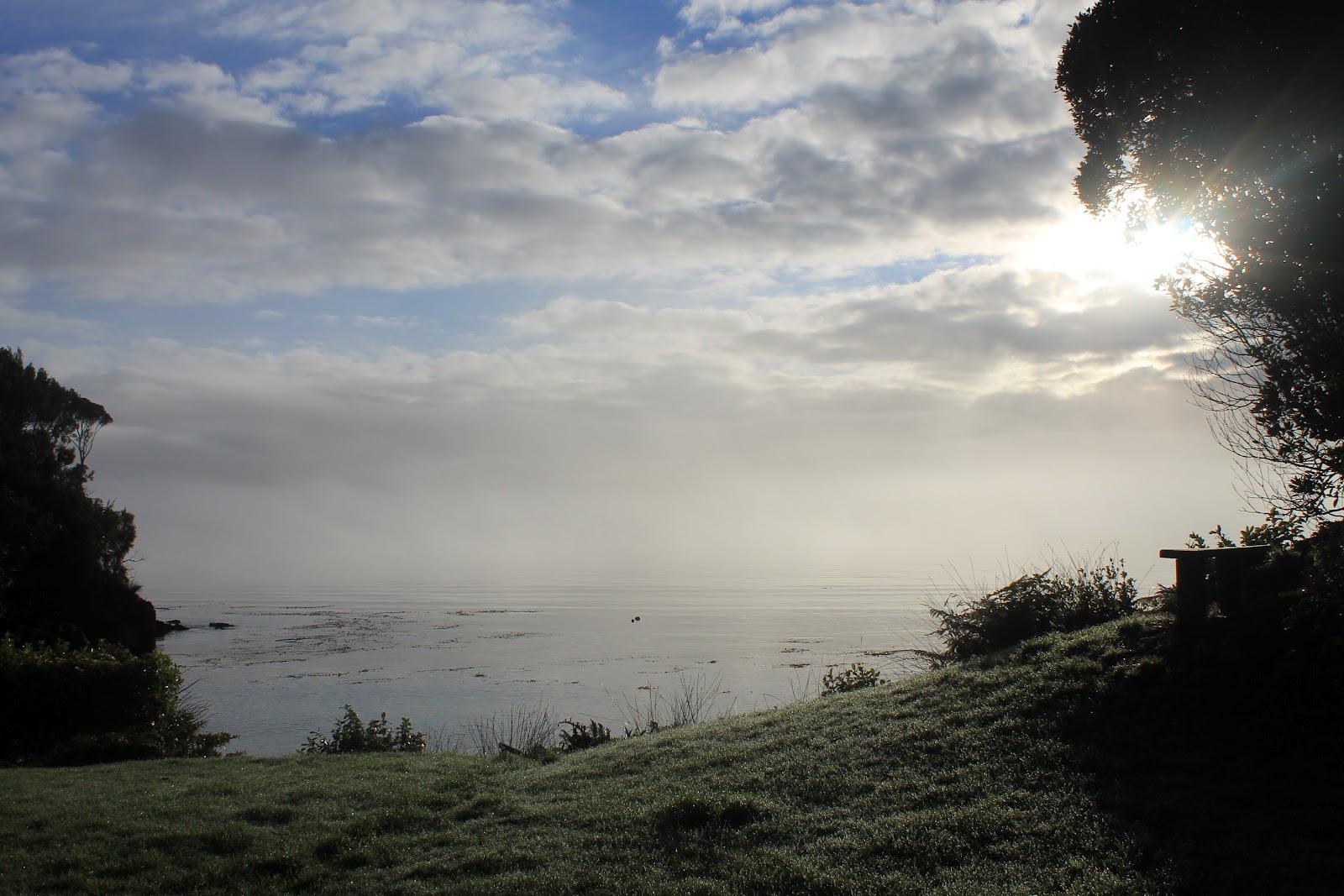 Kiwi Chronicles: Take a pictoral hike of Ulva Island with me...