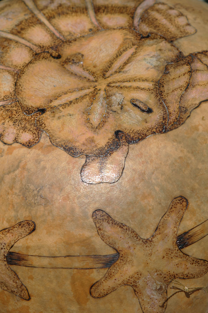 The Rainforest Garden: The Dangerous Art of Gourd Crafting