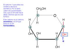 Bioquímica Para enfermeros: Diario Reflexivo